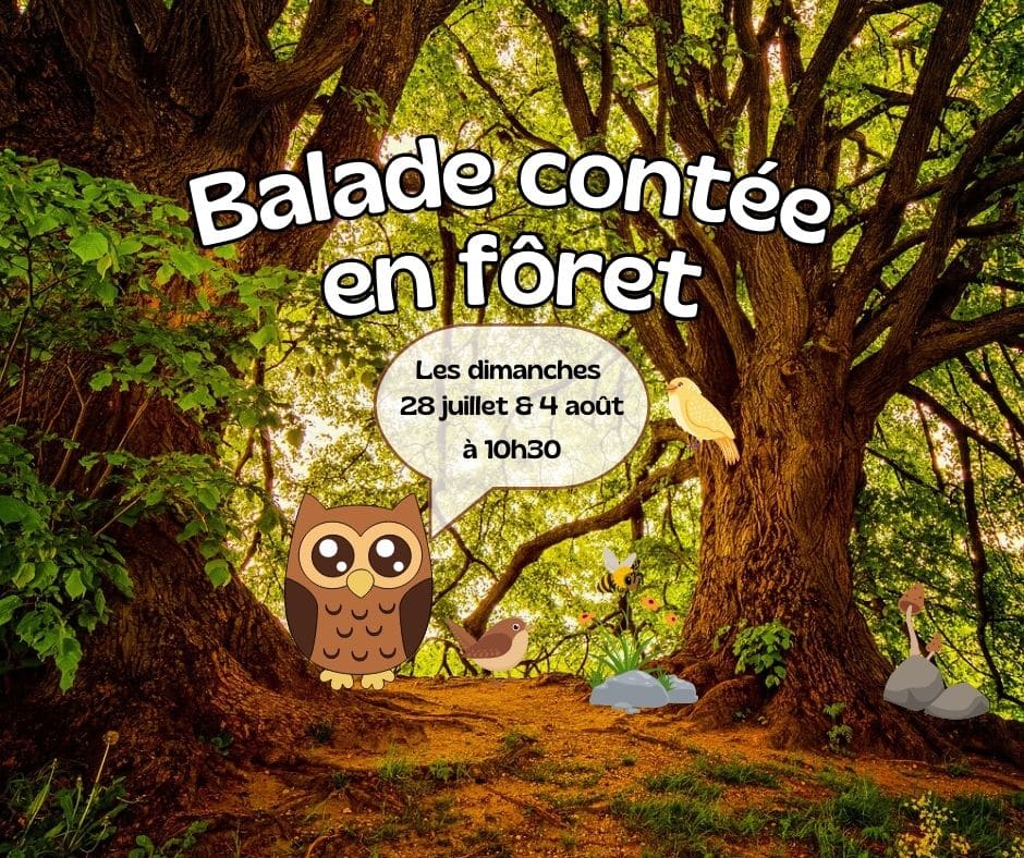 Balade contée "La forêt enchantée" - Eté 2024 - Grottes de Saint Christophe